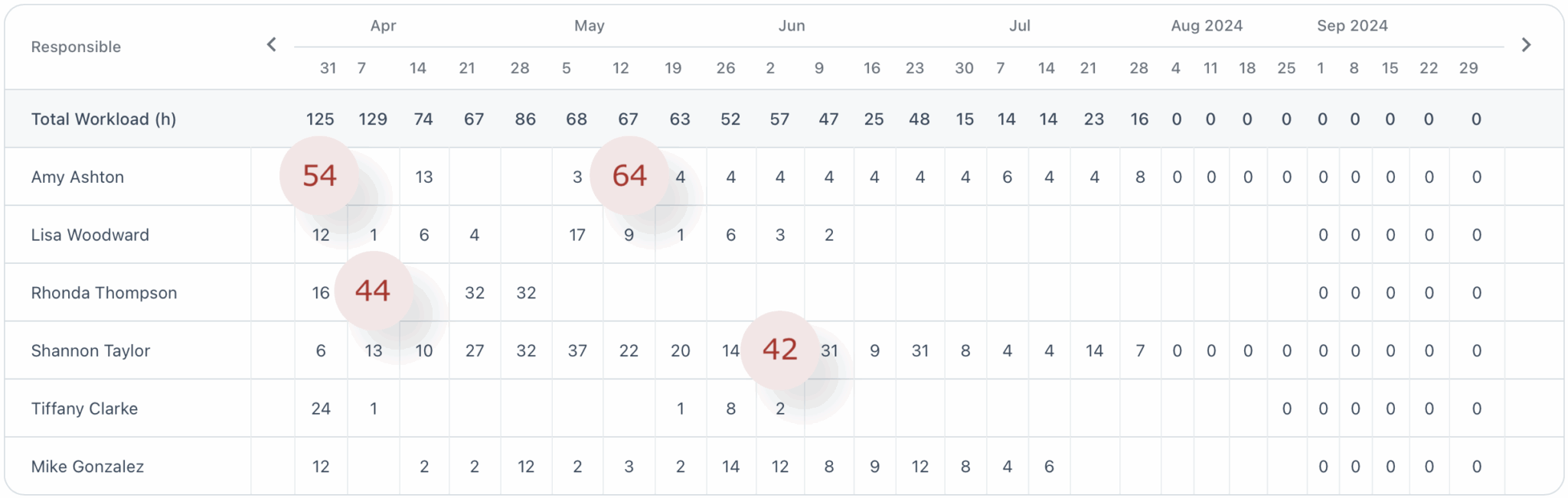 Workload Reports - Project Management Software Features | Workzone