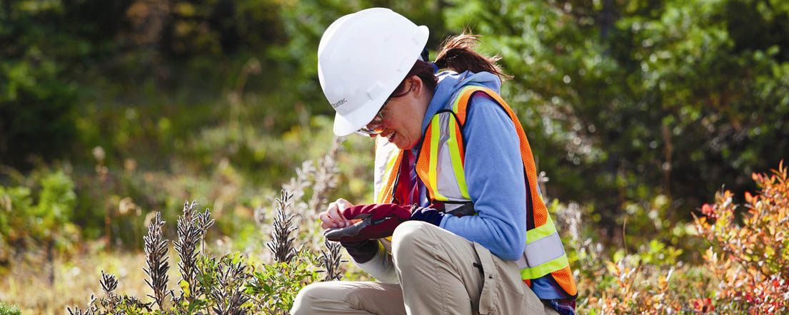 Project Management Software for Field-Based Teams